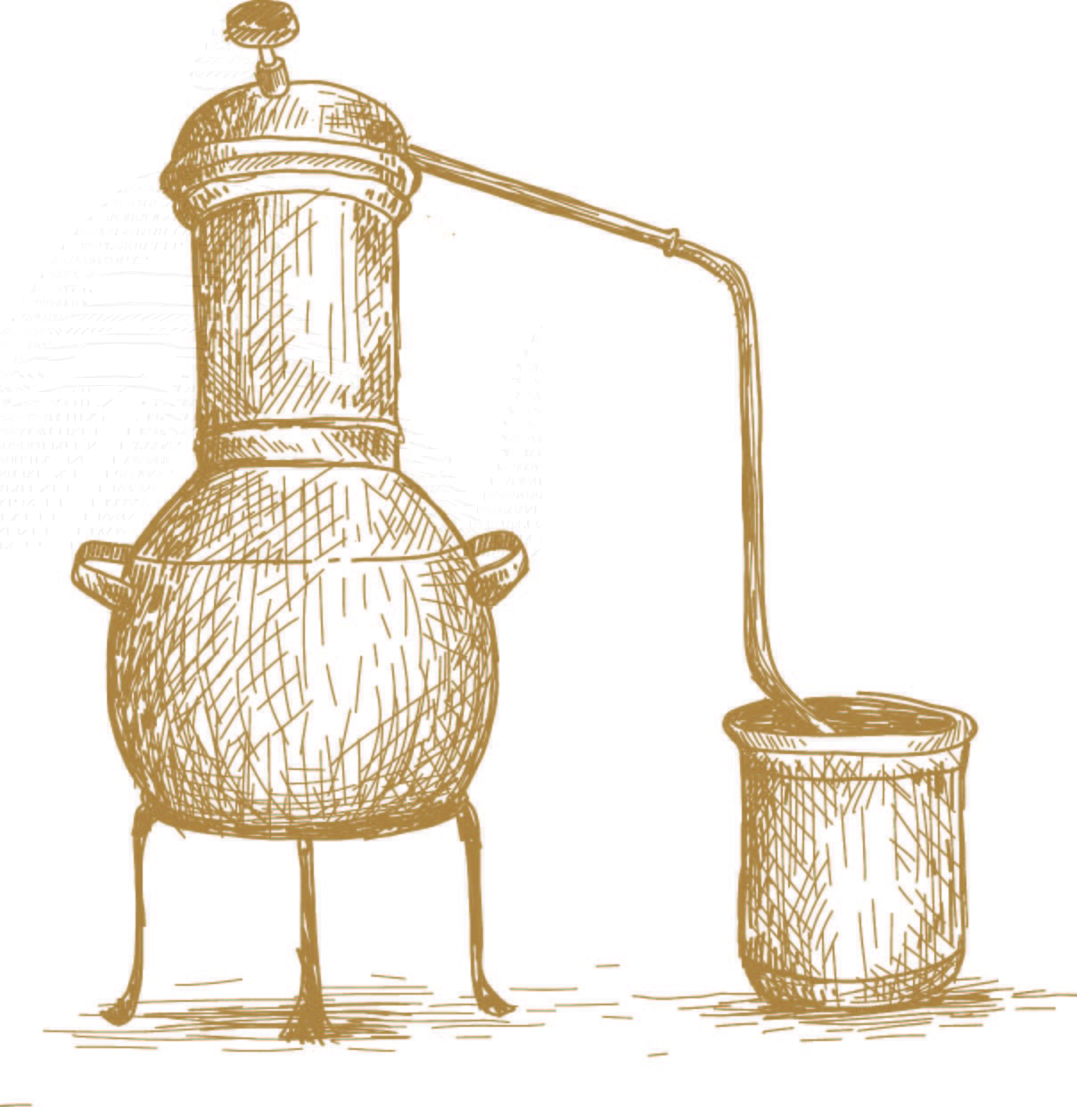 Shop - Brewhaus America